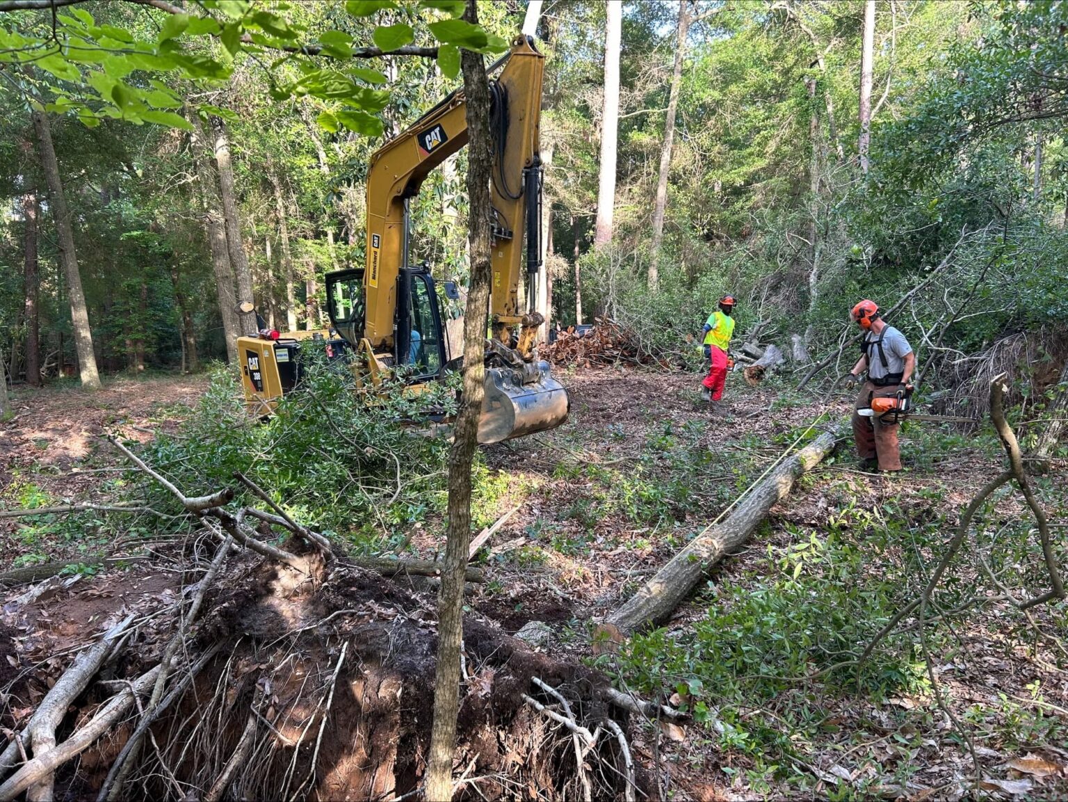 Hitchcock Woods Cleanup - Morgan Corp.